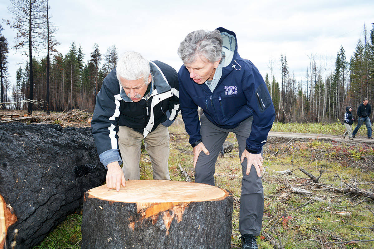 Forest Management Post Wildfires Focus of Federation of BC Woodlot ...