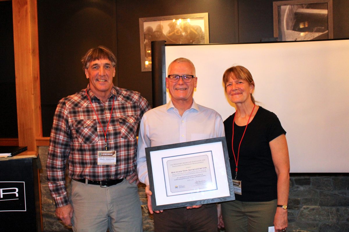 Adamson family woodlot wins minister’s award – Provincial & Northern ...
