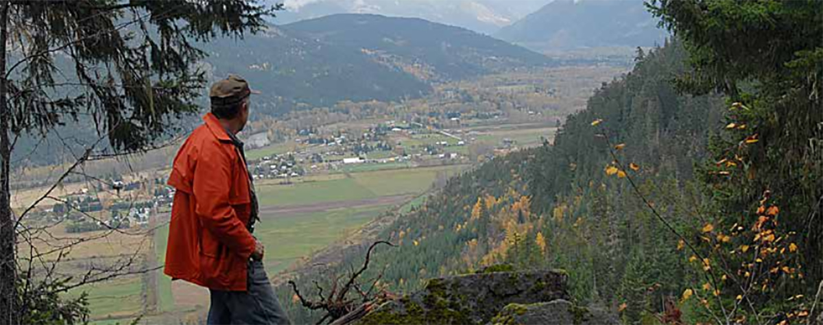 BC’s Woodlot Licence Program | Woodlots BC