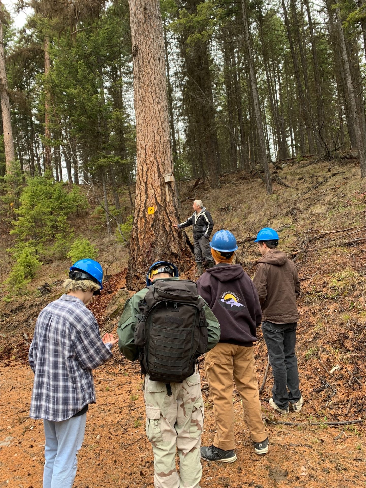 Benefits of Outdoor Education & Woodlot Licence Contributions | Woodlots BC