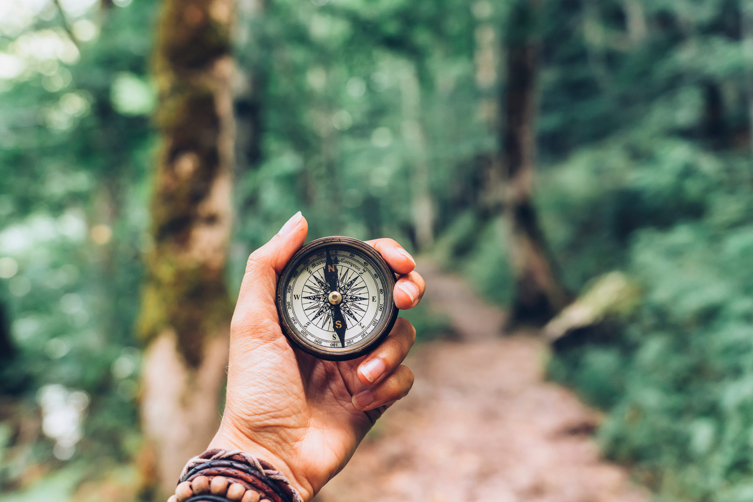 Woodlot Licensee Guides & Tools | Woodlots BC