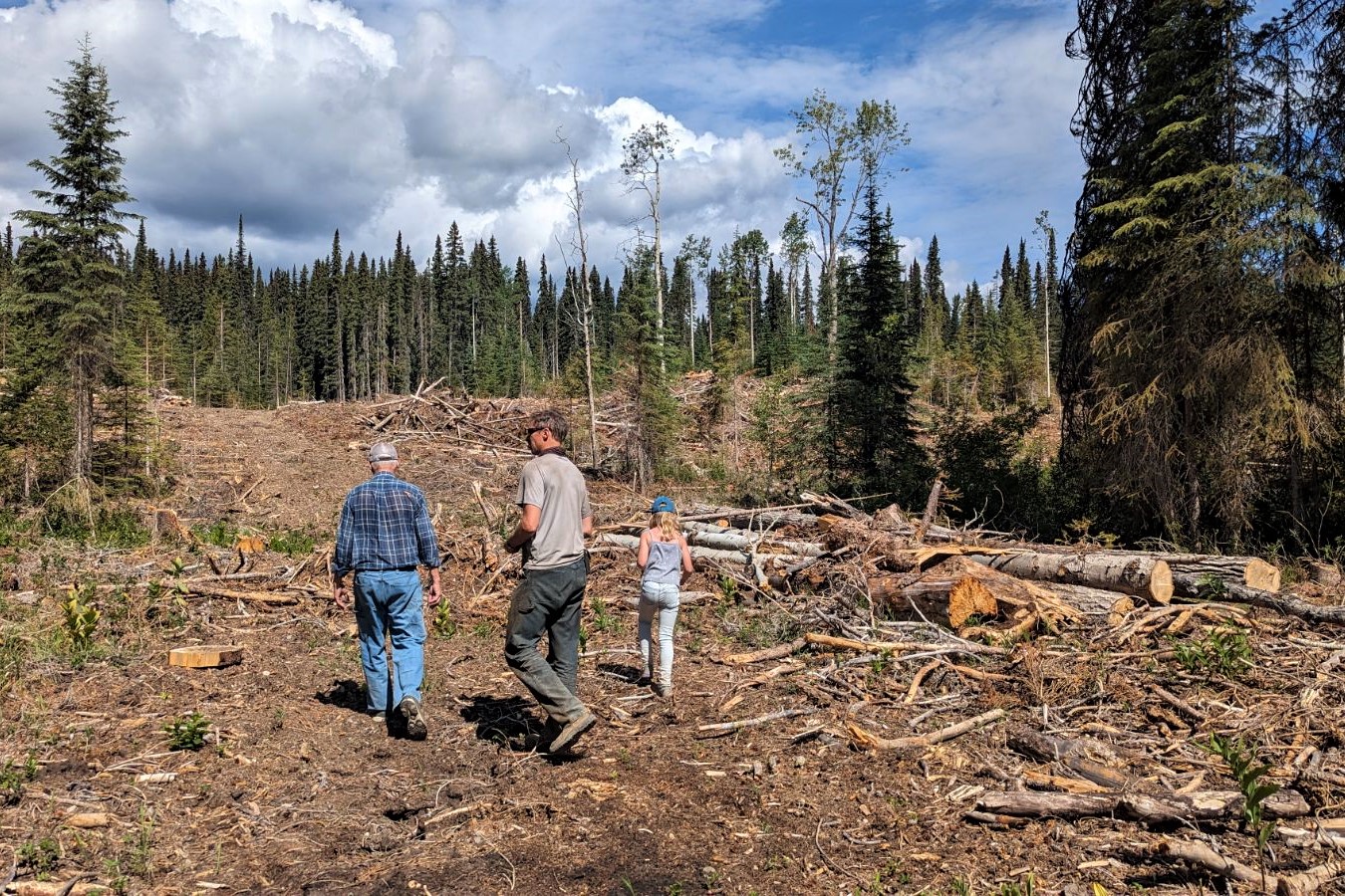 Discover Woodlot Licences | Woodlots BC