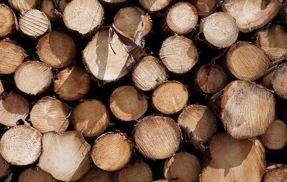 Prince George-based woodlot owners win award | Woodlots BC
