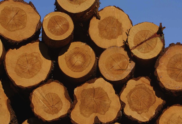 Woodlotters and the Federation of BC Woodlot Associations welcome Gord ...