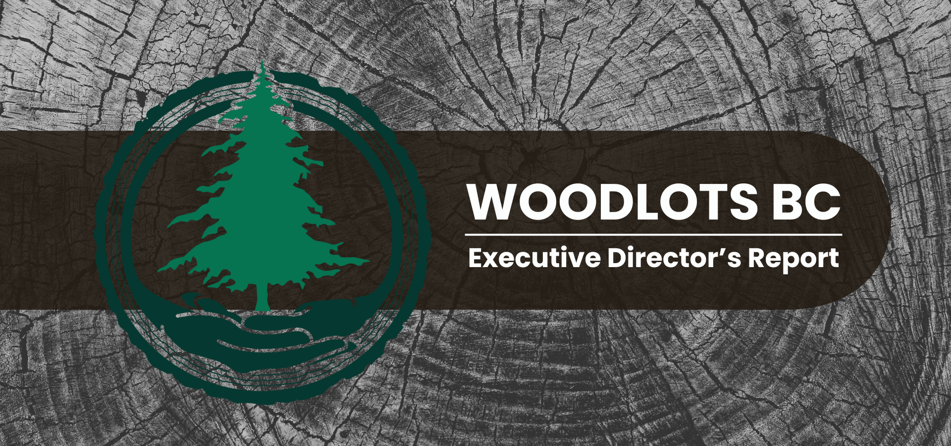 Executive Director's Report | Fall 2024 | Woodlots BC