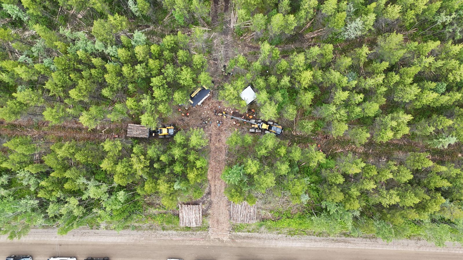Commercial thinning draws a crowd | Woodlots BC