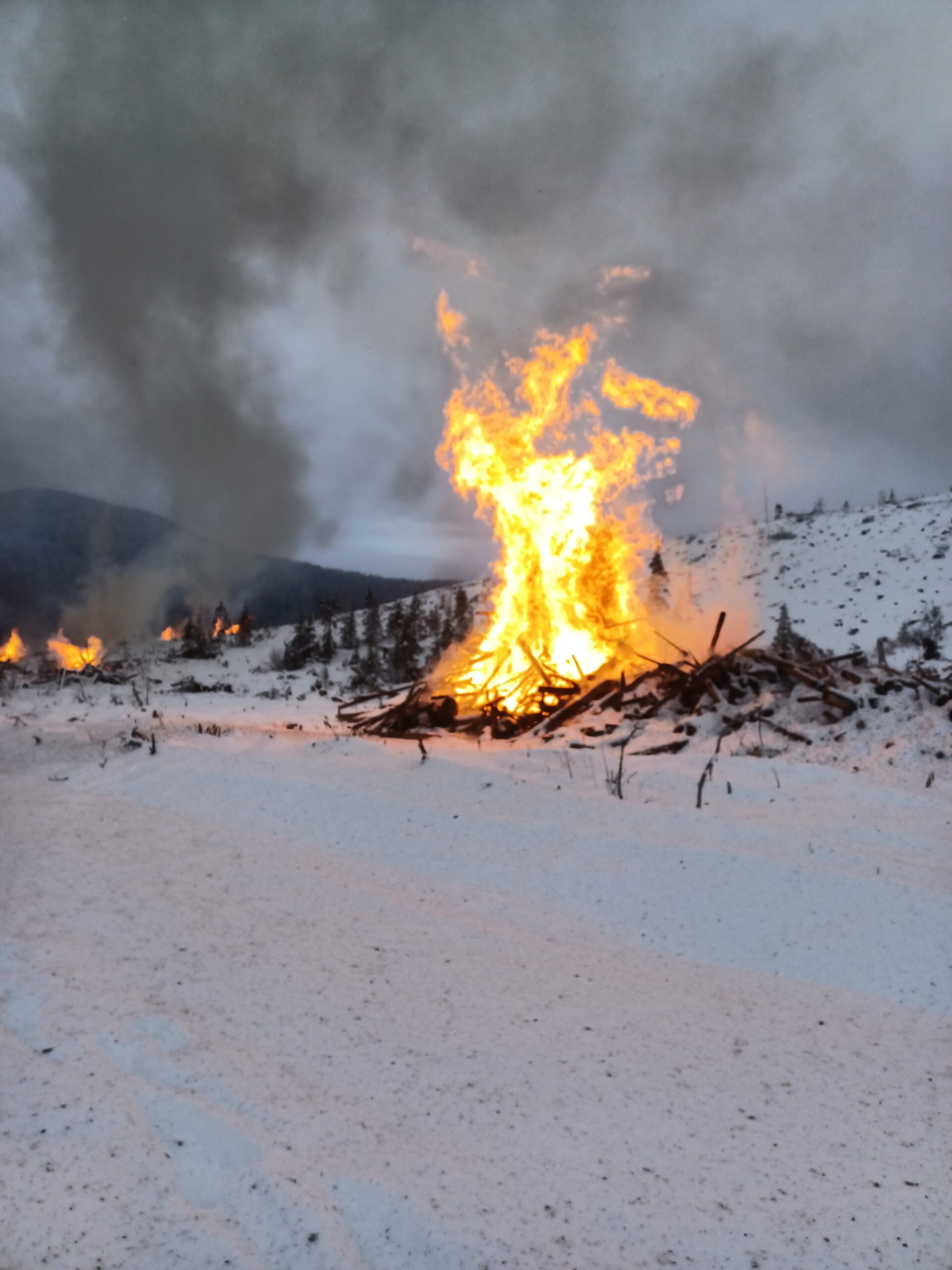 Burning Guide | Woodlots BC