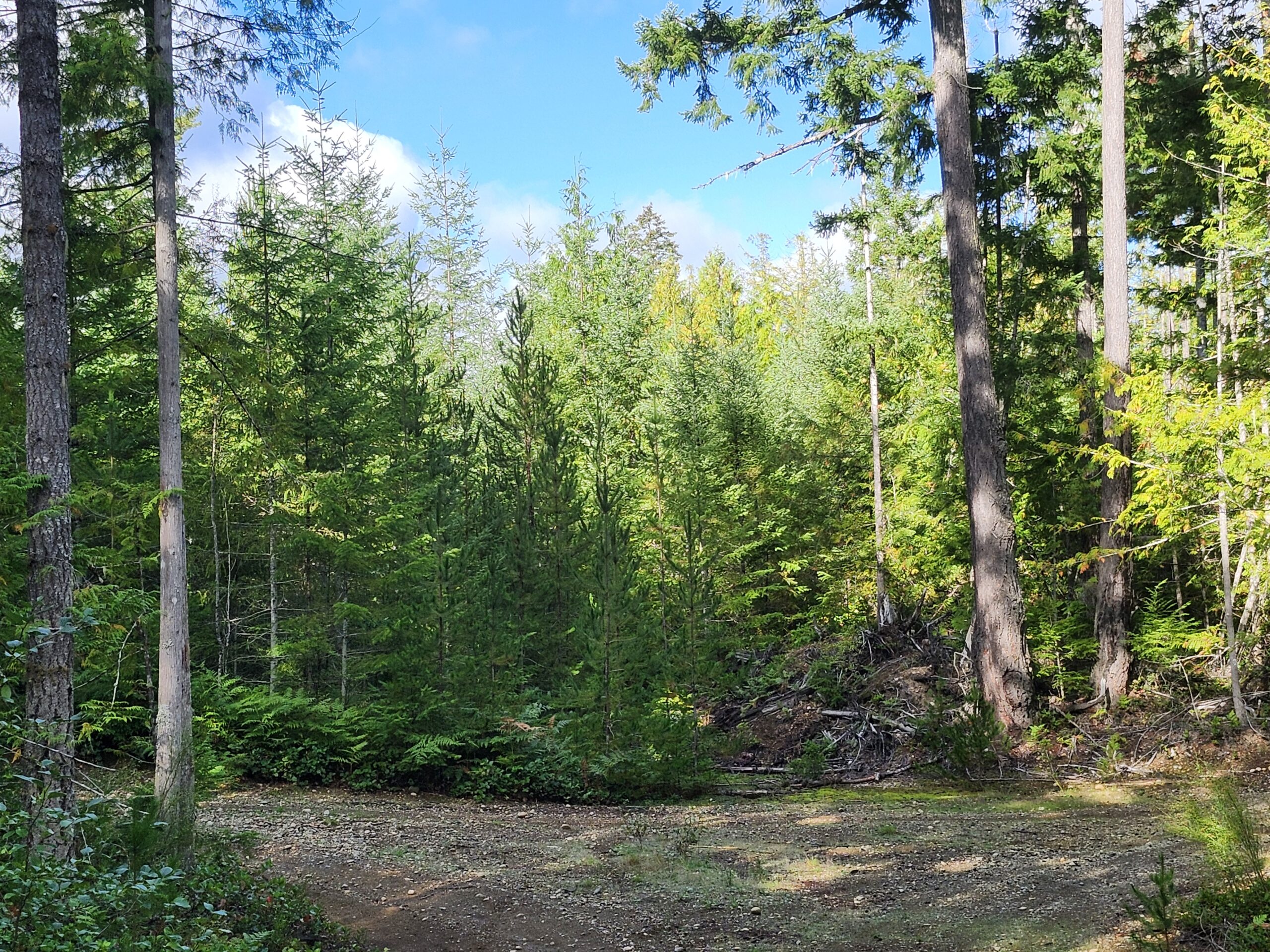 South Vancouver Island | Woodlots BC