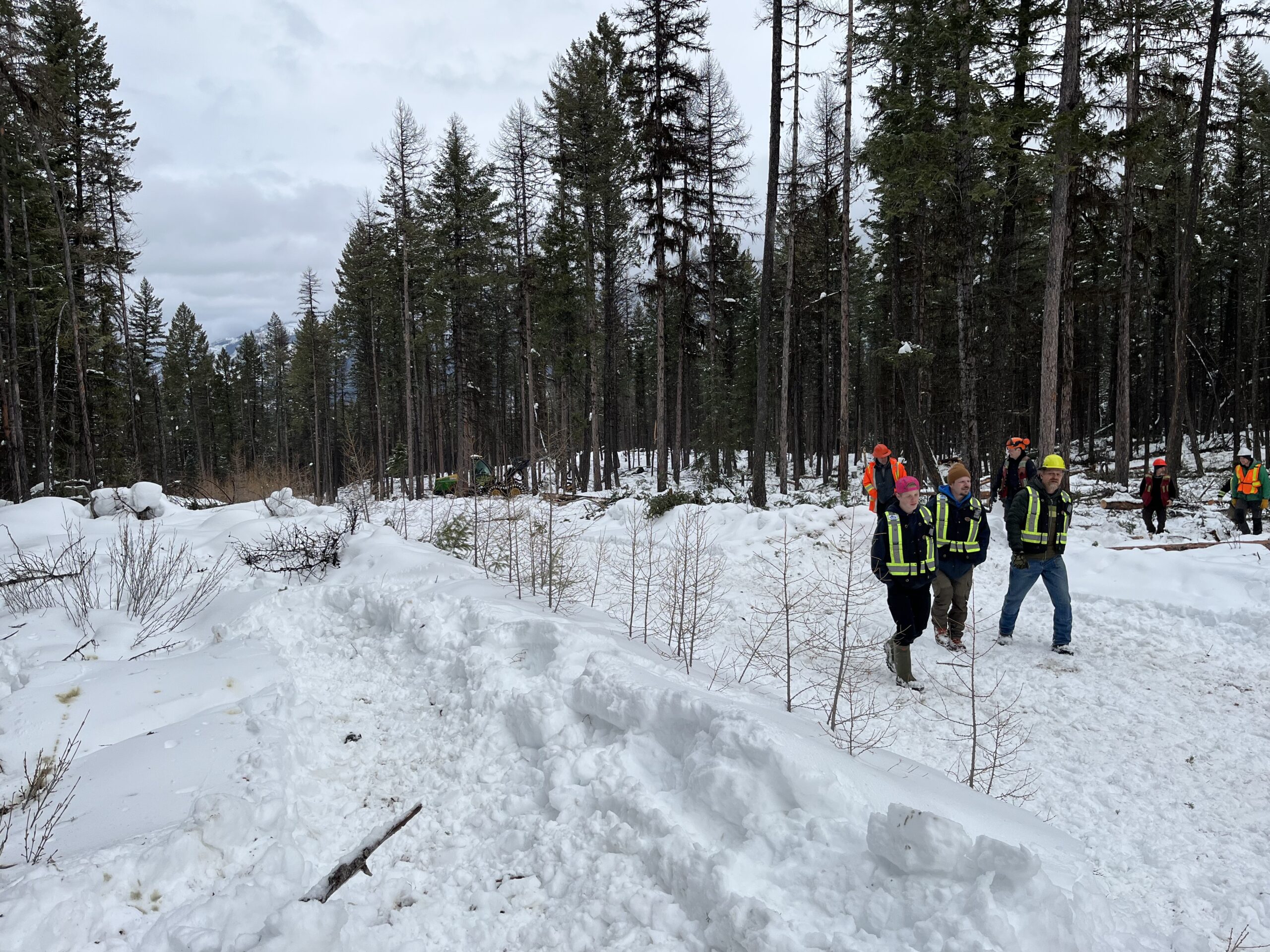 Exploring the Potential of Cut-to-Length: A Successful Woodlot Tour ...